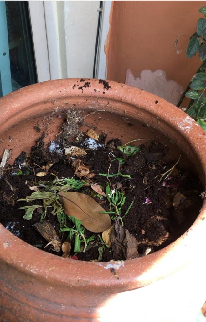 Compost is the New Black - Make My Garden