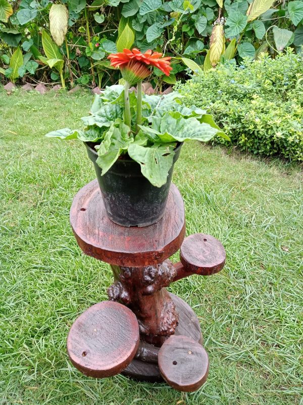 Wooden Stand | Made from 100 year old tree trunk| Free Delivery Blr